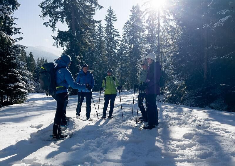 Community hike: Wildlife in winter | Holiday Region Achensee